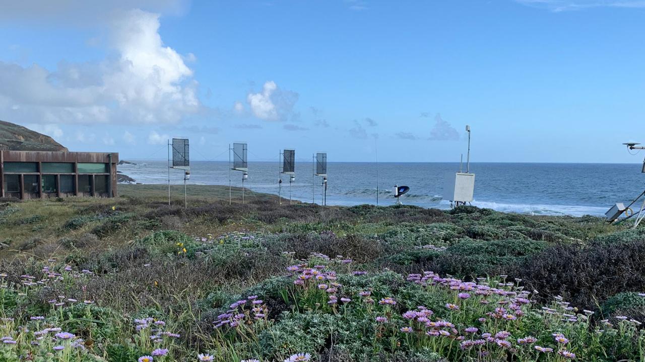 Co-located Observation Platforms | Bodega Ocean Observing Node